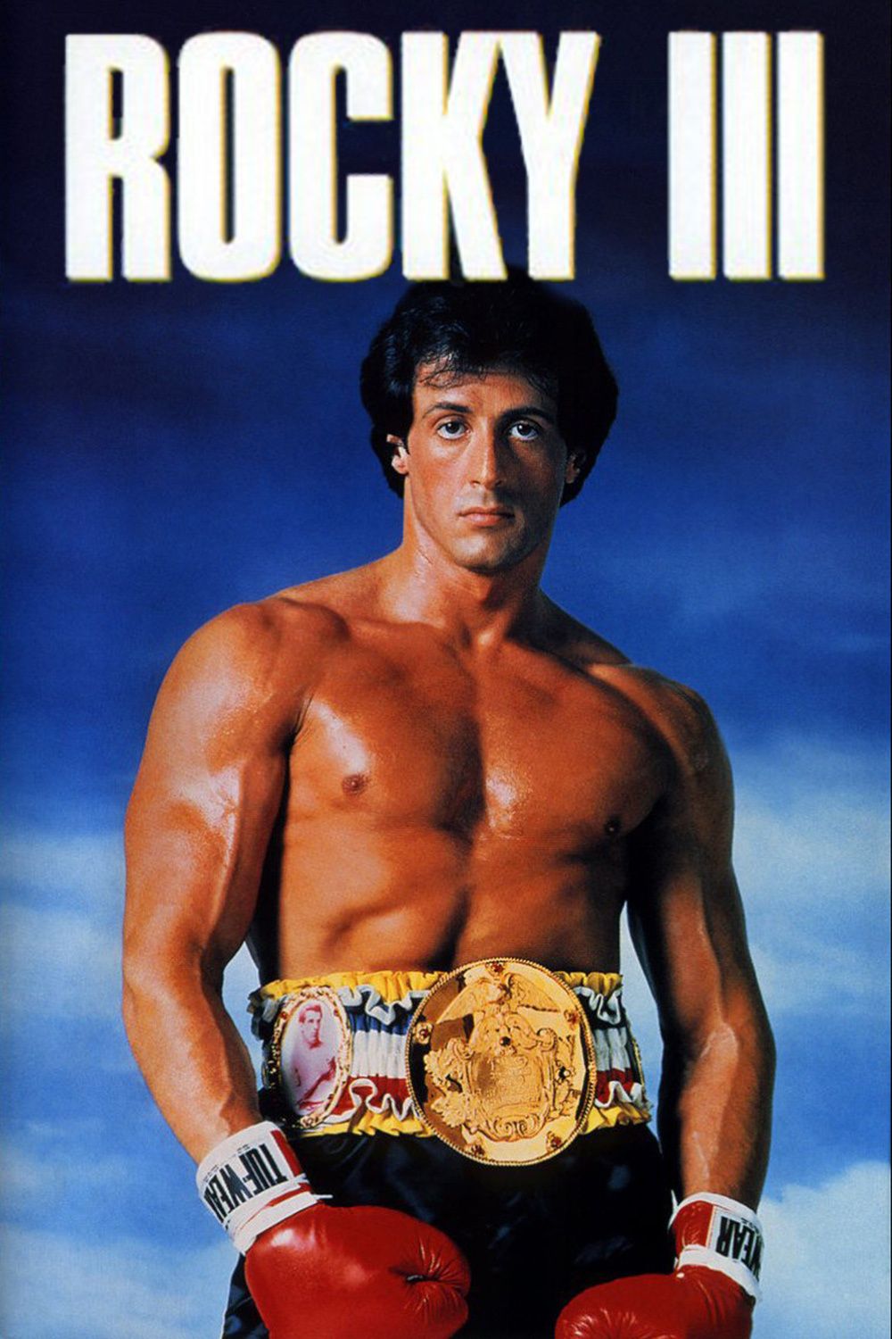 Rocky: An Odyssey in Six Parts